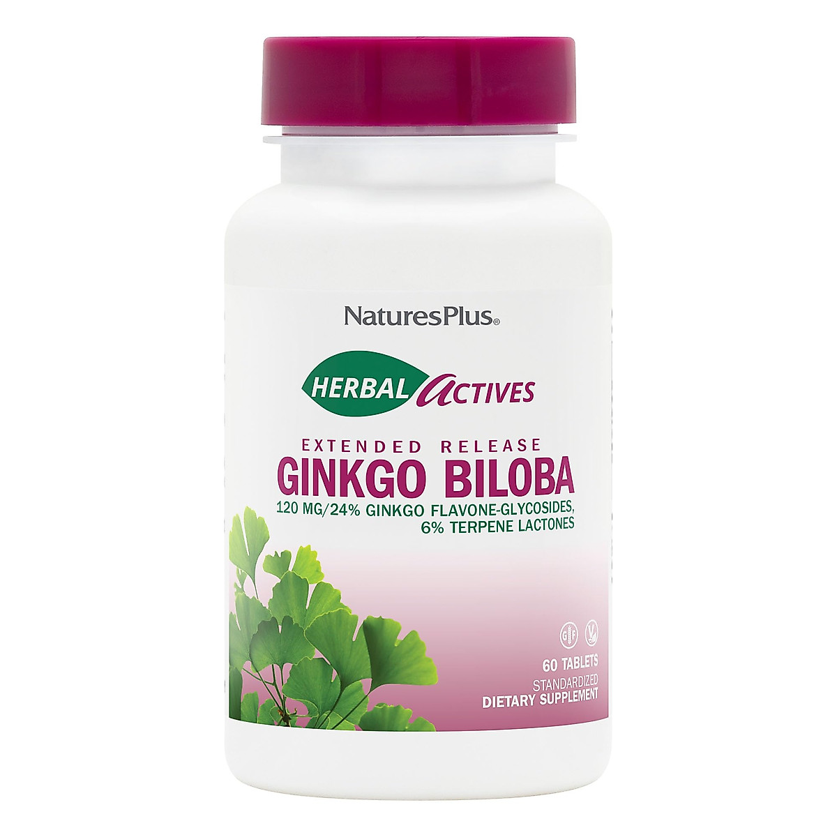 Natures Plus Herbal Actives Ginkgo Biloba, Extended Release - 120 mg, 60 Vegan Tablets - Vegetarian, Gluten-Free - 60 Servings