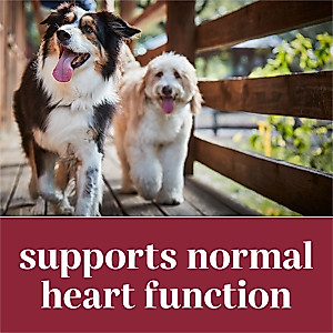 EverRoot Dog Heart Supplements Heart Health Chewable Tablets with Taurine and Green-Lipped Mussels - 4.02 oz. Canister