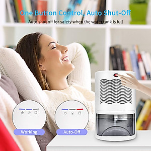 Letsport Upgraded 68oz Dehumidifier for Home, Up to 480 Sq Ft Portable Compact Electric Mini Dehumidifier with Ultra Quiet Small Dehumidification for Basement Bathroom Bedroom Kitchen Closet RV…