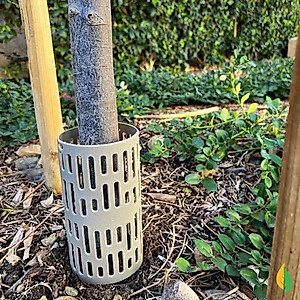 Plantem Tree Trunk Protector (6 Pack) - Durable Tree Guard Panels Protect from Trimmers, Mowers & Sun | Weather-Proof Tree Protectors Interlock for Custom Fit | Grey Color Tree Guards Trunk Protector