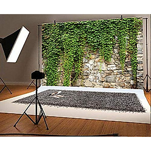 Leyiyi 10x8ft Spring Garden Leaves Backdrop Gardening Plants Grunge Stone Wall Greenery Banner Vane Branch Cover Vintage Architecture Photo Background Wedding Kids Birthday Photo Studio Vinyl Prop