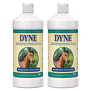 PetAg Dyne High Calorie Liquid Nutritional Supplement for Horses & Ponies - Provides Energy and Extra Nutrition - Contains Soybean Oil & Vitamins - 32 Fl Oz - 2 Pack