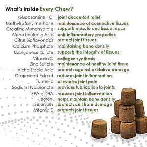 Pet Health Solutions Hylox Soft Chews for Dogs - Supports Joints & Cushions Connective Tissues - Glucosamine - Alpha Linolenic Acid - Creatine -120 Soft Chews