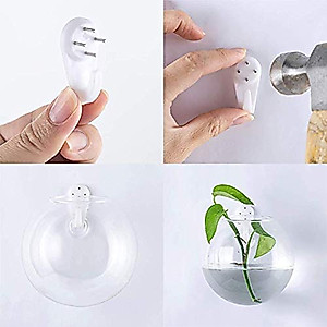 Ivolador Wall Mounted Plant Terrariums Oblate Hanging Glass Propagation Station Container for Propagating Hydroponic Plants Home Garden Wedding Décor
