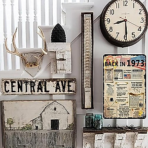 Fancesca Decor 50th Birthday Anniversary Decoration 1973 Sign for Women Men,Back in 1973 Tin Sign Party Supplies for Grandma,Grandpa, 12x8 Inches Aluminum Metal Signs (Back in 1973)