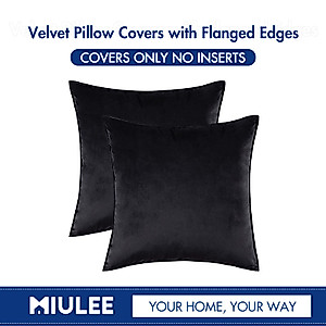 MIULEE Pack of 2 Decorative Velvet Throw Pillow Cover Soft Pillowcase Solid Square Cushion Case for Sofa Bedroom Car 22x22 Inch Black