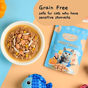 MOOCHIE Wet Cat Food - Weight Management - Grain Free Wet Cat Food - Minced Salmon & Prebiotics - No Added Preservatives or Artifical Flavoring - Adult Cat Food - 12 x 2.5oz Pouch