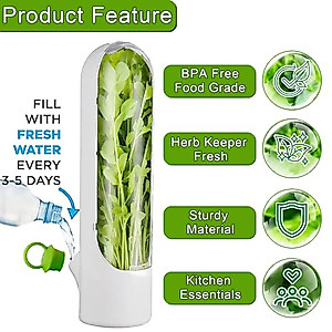 HVECT Herb Saver for Refrigerator, Herb Saver Pod Cilantro Containers for Refrigerator, Fresh Herb Keeper for Cilantro, Parsley, Asparagus, Mint, Keeps Vegetables for 2-3 Weeks (2PCS)