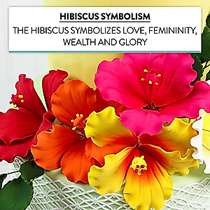 Global Sugar Art Hibiscus Sugar Cake Flowers, Assorted Colors, 5 Count and Leaf Sprays by Chef Alan Tetreault