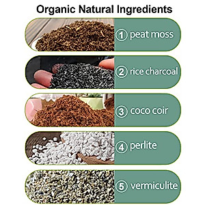 Sphagnum Peat Moss, Natural Bonsai Potting Mix, Succulent and Cactus Potting Soil, Organic Garden Growing Soil Amendment and Media, for Flowers, Vegetables, Herbs, Orchid, Indoor Houseplant, 3qt