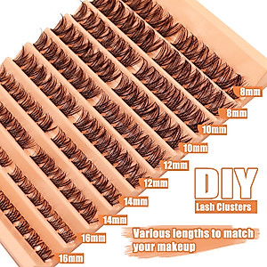 Veleasha Lash Clusters 120pcs D Curl Clusters Lashes Volume Individual Lashes Wispy DIY Lash Extensions Fake Eyelashes Mix Length 8/10/12/14/16mm at Home Lash Extension Clusters (10R,B10-D,8-16MM)