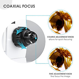40X-1000X Microscopes for Students Kids Adults, Cordless Biological Compound Monocular Microscopes with Microscope Slides Set, Phone Adapter, Dual LED Illumination Power Optical Glass Lenses
