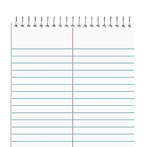 STAPLES White Paper Steno Pads, Gregg Ruled, 6" x 9", 12/Pack