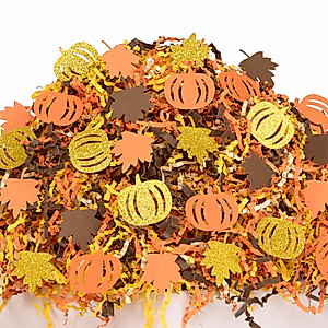 PAPER FAIR 1 LB Harvest Crinkle Cut Paper Shred Filler w/Pumpkin Leaf Confetti, Chocolate Brown/Orange/Yellow Fall Leaves Raffia Tissue Craft Bedding Cushion for Thanksgiving
