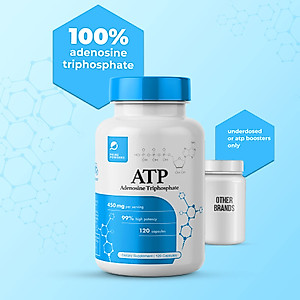 Prime Powders ATP Capsules - 120 Capsules - 400mg per Serving - Adenosine Triphosphate - Boost Energy Endurance Stamina