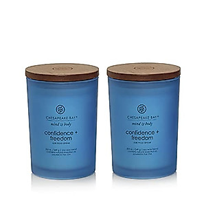 Yankee Candle Chesapeake Bay Candle, Medium Jar Candles | Confidence + Freedom (Oak Moss Amber), 2 Count, White