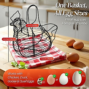 Flexzion Chicken Egg Holder, Small Wire Egg Collecting Basket with Handle for Farm Eggs, Fruits, Vegetables, Metal Wire Chicken Basket Decor for Kitchen, Countertop, Farmhouse Rustic Style, Black