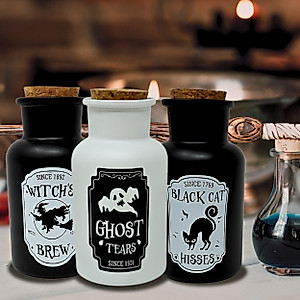 4E's Novelty Set of 3 Glass Decorative Apothecary Potion Bottles Halloween Tabletop Mantle Decorations, Halloween Witch Farmhouse Decor for Tiered Tray Table Centerpiece