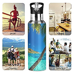 xigua Tropical Beach Palm Trees Water Bottle Stainless Steel Vacuum Insulated Water Bottle Standard Mouth Wide Handle Bottle with Straw Lid for Sports School Gym Outdoor,20 oz.