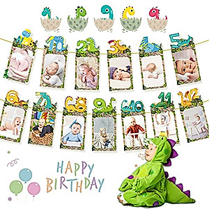 Dinosaur First Birthday Decorations, 1st Birthday Photo Banner for From Newborn to 12 Months Baby, Wild One Birthday Decorations, Monthly Milestone Photo Booth Props for Safari Dino Birthday Decor