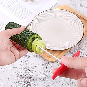 Latauar Stainless Steel Fruits & Vegetables Spiral Twist Knife - Manual Spiral Carving Cutter, Kitchen Tray Decoration Vegetable Knife Spiral Carving Tool, 1 Pack