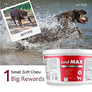 Joint MAX TS Joint Supplement Vet Formulated Pain & Inflammation Relief Treats Hip Dysplasia & Arthritis.Glucosamine, Chondroitin, Turmeric, MSM, HA, Creatine, Omega 3 EPA+DHA. All Dogs 240 Soft Chews