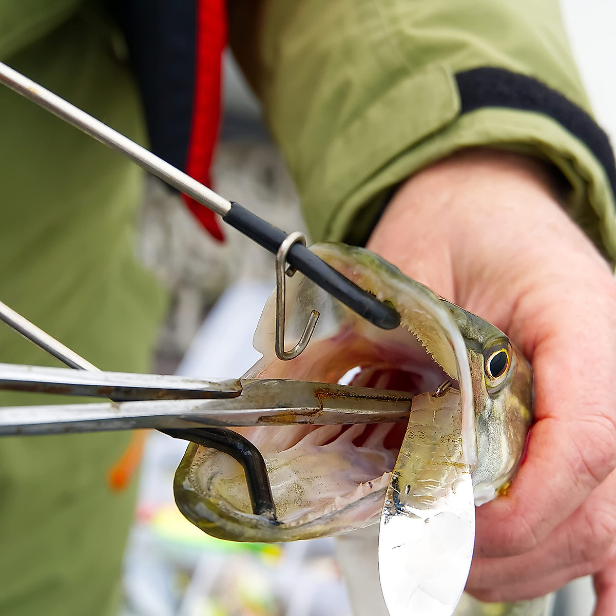 SURGICAL ONLINE Ultimate Hemostat Set, 6 Piece Ideal for Hobby Tools, Electronics, Fishing and Taxidermy (8", 6.25" and 5")