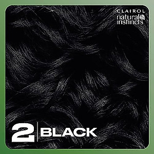 Clairol Natural Instincts Demi-Permanent Hair Dye, 2 Black Hair Color, Pack of 1