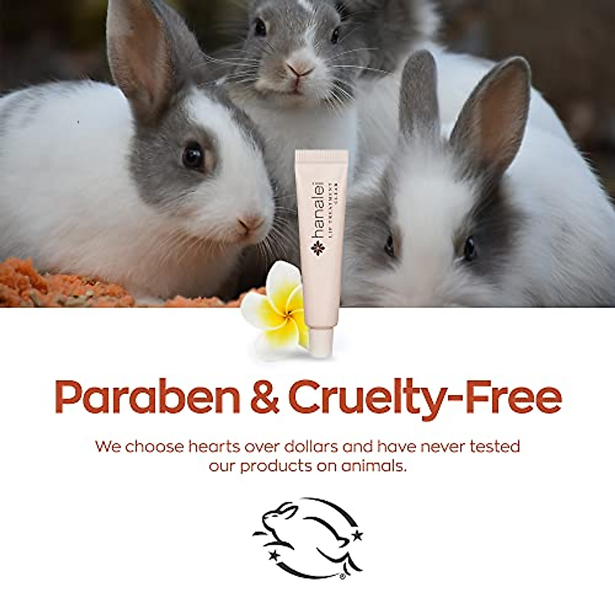 Cruelty-Free and Paraben-Free Lip Treatment to Soothe Dry Lips by Hanalei – Made with Kukui Oil, Shea Butter, Grapeseed Oil – Made in USA – Clear Travel-Size 3 Pack (5ml/5g/0.17oz x 3 tubes)