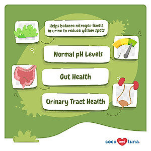 Grass Burn Spot Chew - 90 Soft Chews - Dog Pee Lawn Spot Saver - Urinary Tract Support, Bladder Support for Dogs, Normal Urine - with Probiotics and Canine Enzyme Blend.