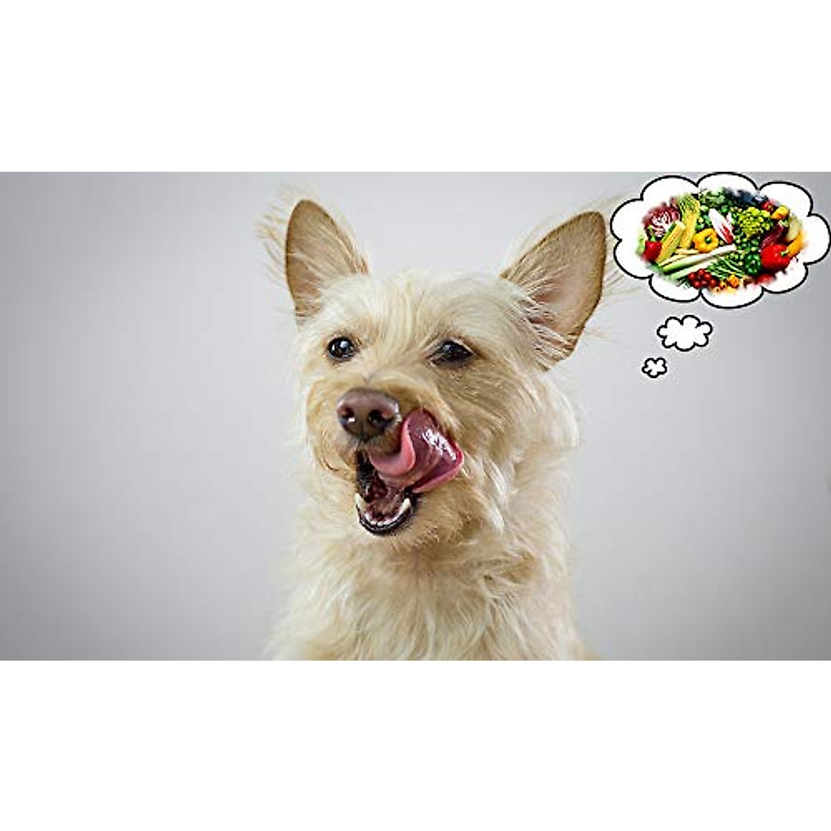 PET SUPPLEMENTS Dog Urinary Supplement - Dog Total Health Complex - Eye Teeth Hair Joint Support - Advanced - astaxanthin for Dogs - 1 Bottle (60 Tablets)