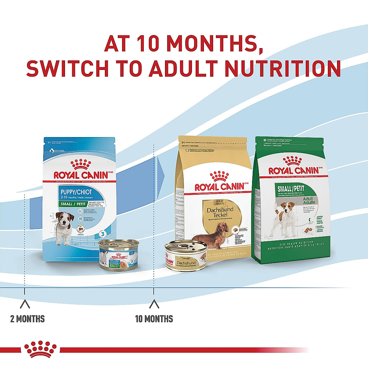 Royal Canin Size Health Nutrition Small Puppy Thin Slices in Gravy Wet Dog Food, 5.1 oz 24-Pack