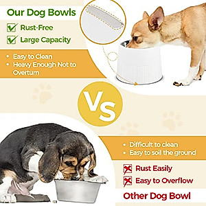 MSBC Elevated Dog Bowl, 15oz Small Raised Dog Feeder with Removable Stainless Steel Food and Water Bowl, Non-Skid & Non-Spill Dog Dish for Small Dogs and Cats, Raised Cat Bowl, Dishwasher Safe, White