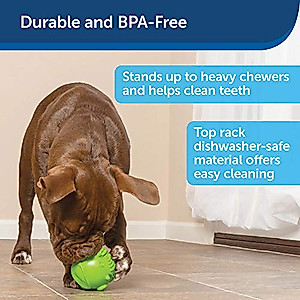 PetSafe Busy Buddy Elephunk Dog Chew Toy - Treat Dispenser - Medium/Large