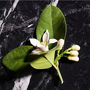 Joop! Mild Deodorant Spray for Men, 2.5 Ounce