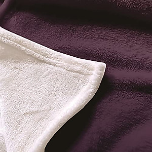 Musihy Ultra Soft Blankets, Throw Blankets for Adults Gradient Purple Soft Blanket Throw Gradient Purple Throw Blanket Full 51"x59"