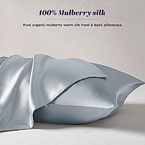 HYDE LANE 16 Momme 100% Pure Mulberry Silk Pillowcase for Hair and Skin with Hidden Zipper, Both Side Grade 6A Silk, Smooth and Soft,Real Silk Pillow Case, 2pcs Queen 20''x30'',Light Blue