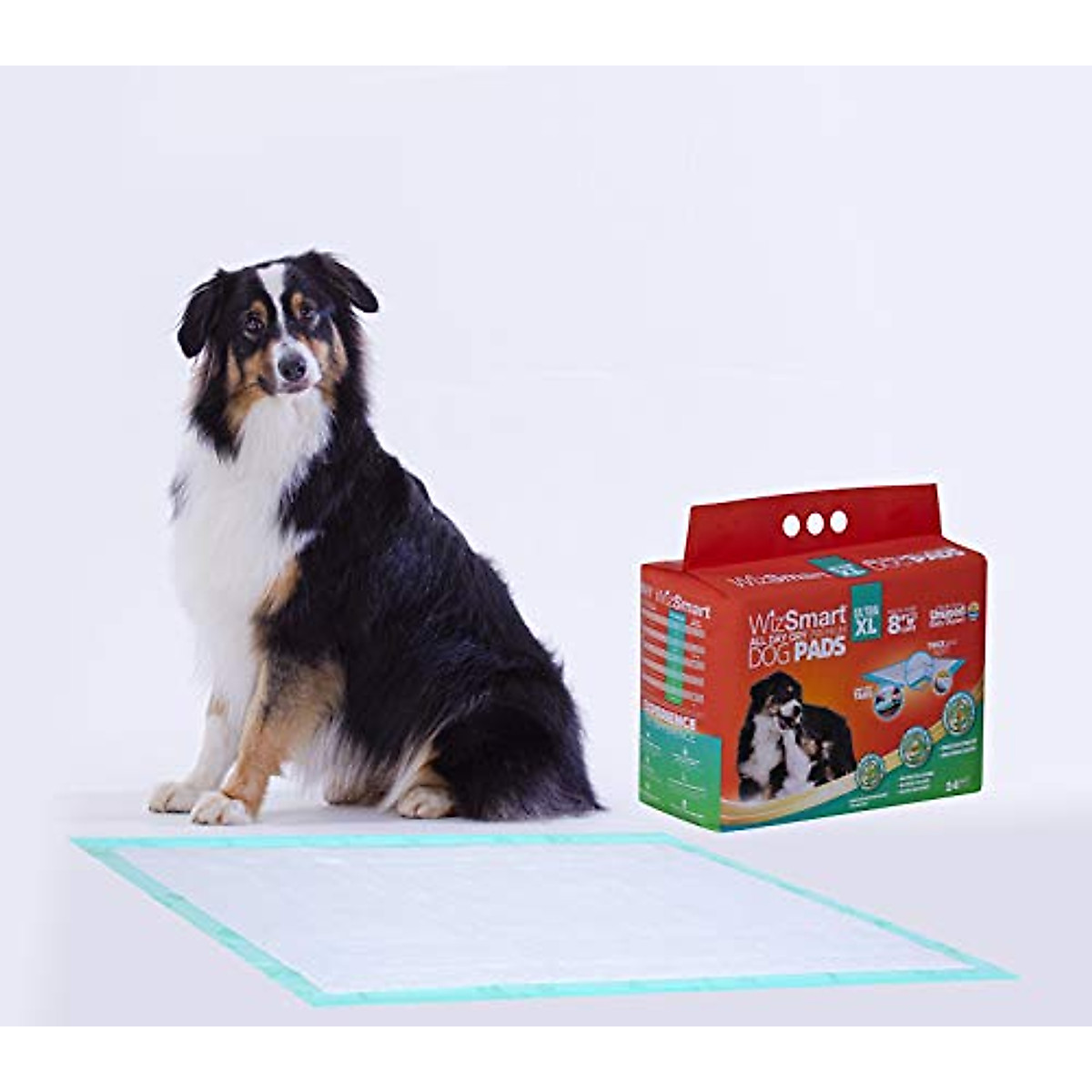 WizSmart Heavyweight Ultra Extra Large 10+ Cup Earth-Friendly & All-Day Dry Premium Dog and Puppy Potty Training Pads, Quick Drying, Absorbent, Odor-Free, Stay Put Tabs, 10+ Cup XL (24 Count)