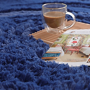 PAGISOFE Fluffy Shaggy Area Rug, 5x8, Plush Shag Rugs for Living Room Bedroom, Shaggy Furry Rugs for Girls Boy Baby, Soft Rugs for Nursery Kids Room, Fuzzy Toddler Room Rug, Light Navy