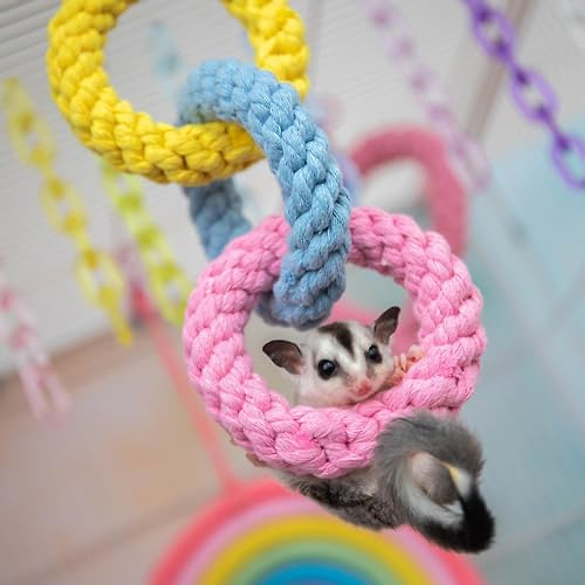 DONGKER Sugar Glider Hanging Climbing Toys,Hanging Three-Ring Swing Cage Toy for Sugar Glider Ferret Hamster Squirrel Chinchilla Parrots Climbing Exercising