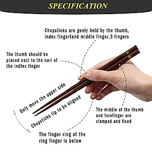 Sang Seiyoga 10 Pairs Solid Wood Chopsticks Reusable Dishwasher Safe，Cute cherry blossoms Engraved Non-slip Japanese Chopstick，9 Inch/23cm Gift Set