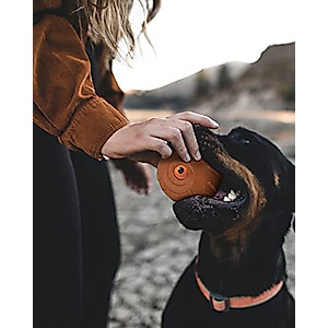 Giggle Ball for Dogs Owl Dog Toys for Aggressive Chewers Dog Ball Toy for Puppy Medium Large Dogs Natural Rubber Cute Owl Hoot Fun Giggle Sounds When Rolled or Shaken(Brown Owl)