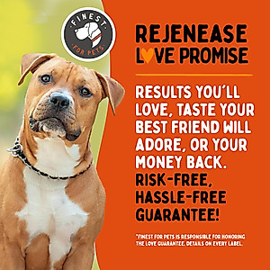 Liquid Glucosamine for Dogs with Chondroitin MSM - Rejenease Hip and Joint Supplement Supports Mobility, Arthritis & Pain Relief (32 oz)