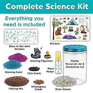 Creativity for Kids Grow 'N Glow Terrarium Kit for Kids - Educational Science Kits Ages 6-8+, Kids Gifts for Boys and Girls, Craft and STEM Projects