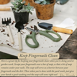 Dr. Woods Raw Black Rejuvenating Exfoliating Body Bar with Organic Shea Butter 5.25 Ounce