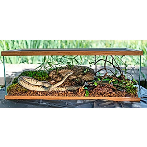 Galápagos (05054) Cypress Tank Mulch Forest Floor Bedding, 8-Quart, Natural