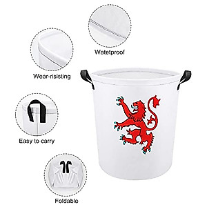 Lion Rampant Scotland Large Laundry Basket Hamper Bag Washing with Handles for College Dorm Portable