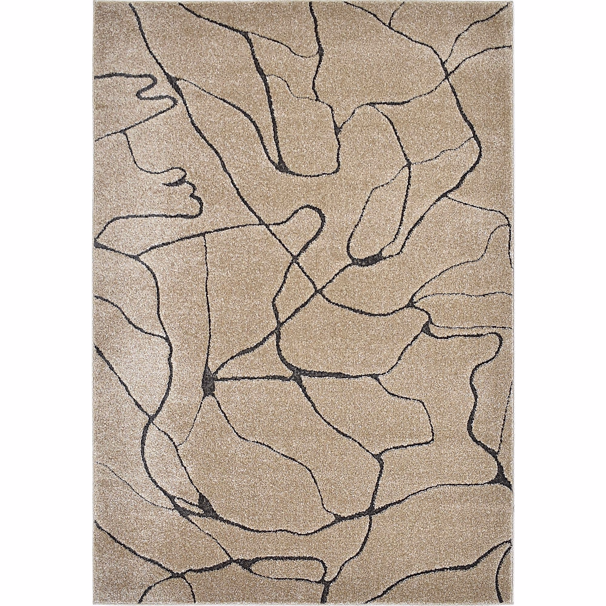 CosmoLiving By Cosmopolitan Cadence Contemporary Moth Wing Area Rug, 8' x 10'