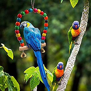 Natural Coconut Bird Nest,Parrot Coco Hut House Bed with Warm Mat Resting Breeding Place&Bird Natural Wood Swing Toys for Budgerigar, Parakeet, Cockatiel, Love Birds, Finches(H01)