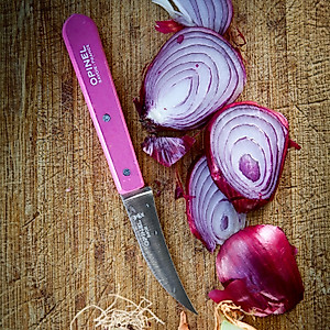 OPINEL Essential Single Kitchen Knife, Cooking Tool Bird's Beak Knife, Veggie Knife, Painted Hornbeam Wood Handles, Made in France (No. 114, Blue)